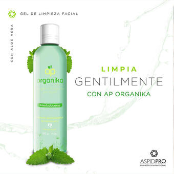 Catálogo y ofertas de AspidPro | 29.06 hasta 14.07