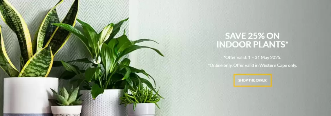 Stodels catalogue from 22/05 ️ Promotions and specials