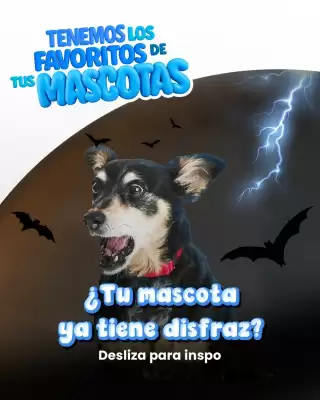 Catálogo Mega Kywi en Quito | Ofertas y horarios de apertura