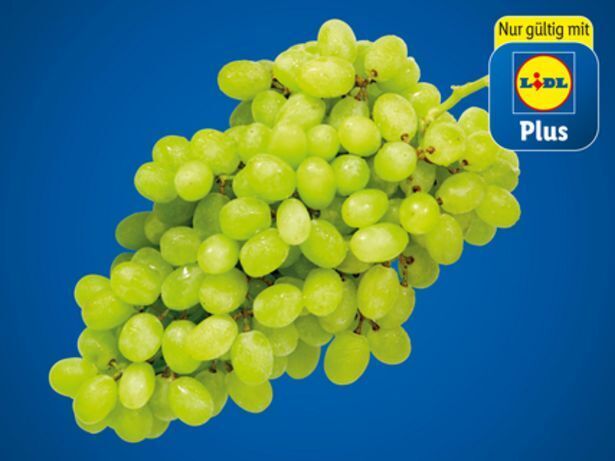 Trauben hell kernlos Angebot bei Lidl Trauben hell kernlos Angebot bei Lidl