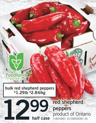 Are Red Shepherd Peppers Spicy