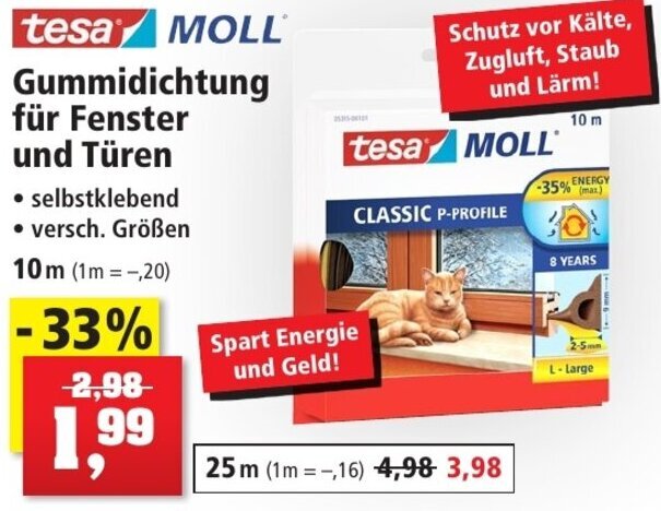 Tesa Moll Fenster