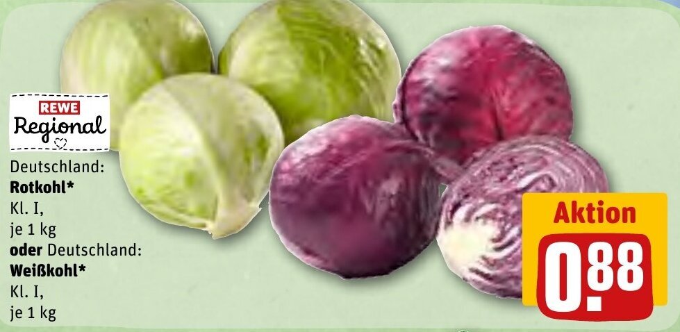 Rotkohl oder Weißkohl 1 kg Angebot bei REWE