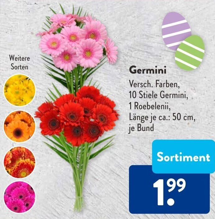 Germini Angebot bei Aldi Süd