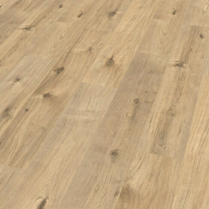 Laminat eiche bremberg (1.292 x 193 x 7 mm, landhausdiele) Angebot bei ...