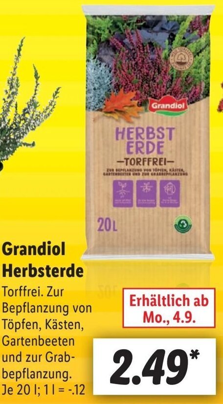 Grandiol Herbsterde Angebot bei Lidl