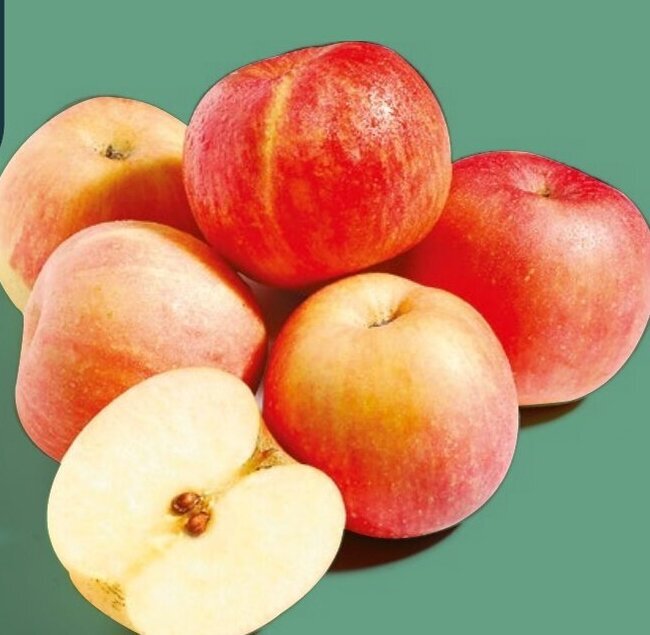 GO Regio Äpfel Gala 1 kg Angebot bei NETTO