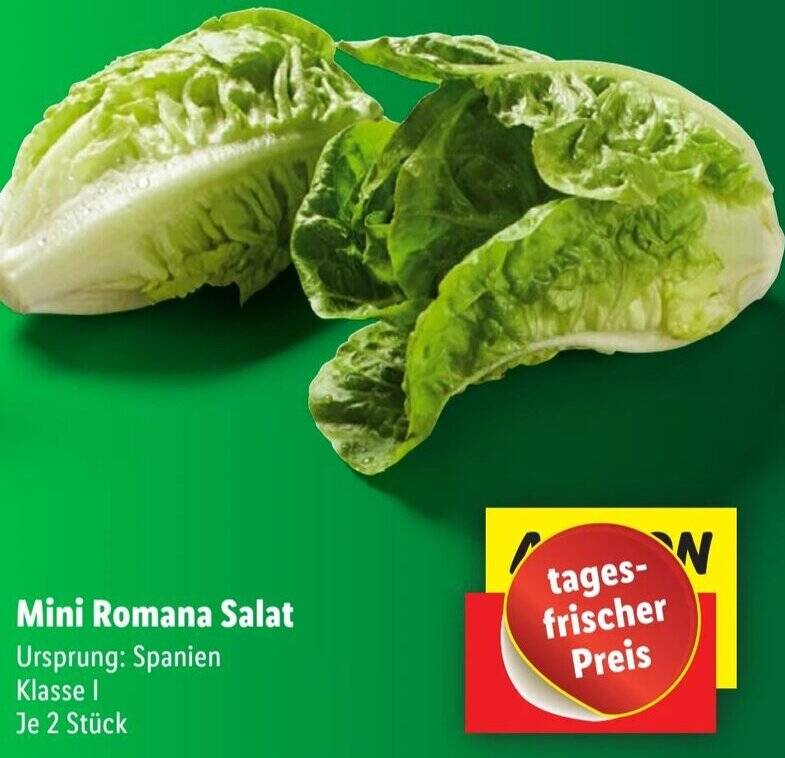 Mini Romana Salat 2 Stück Angebot bei Lidl