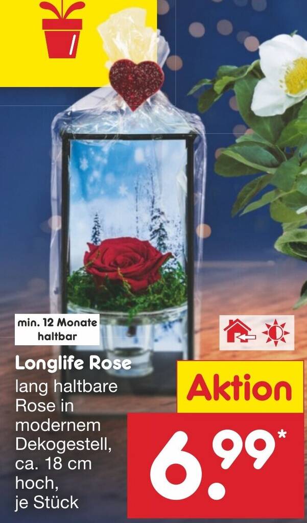 Longlife Rose lang haltbare Rose in modernem Dekogestell, ca. 18 cm ...