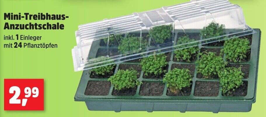 Mini-Treibhaus Anzuchtschale Angebot bei Thomas Philipps