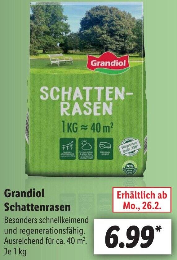 Grandiol Schattenrasen 1 kg Angebot bei Lidl