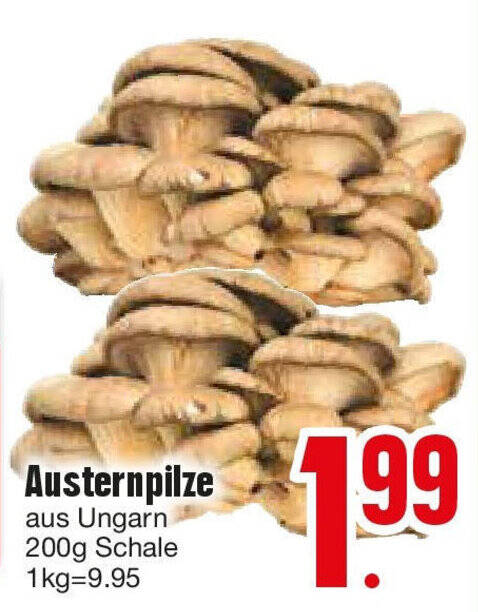 Austernpilze 200g Schale Angebot bei Edeka