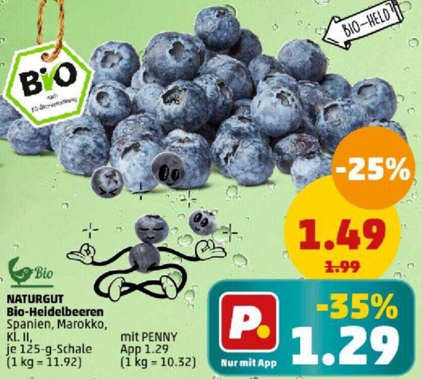 NATURGUT Bio-Heidelbeeren 125 g Schale Angebot bei PENNY