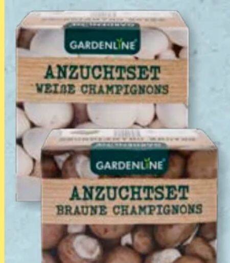 Gardenline Champignon Anzuchtset Angebot bei Aldi Süd