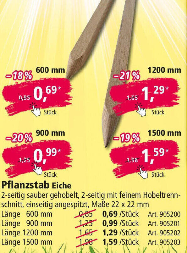 Alle Eiche Angebote - Entdecken Sie das günstigste Eiche Angebot!