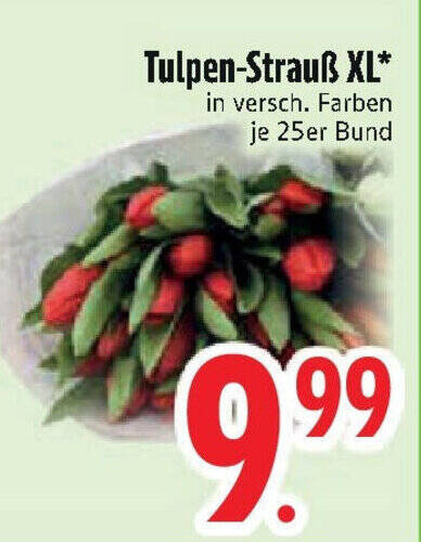Tulpen-Strauß XL Angebot bei Edeka