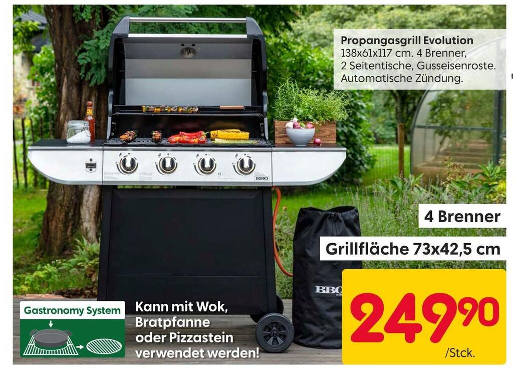 Bbq propangasgrill evolution Angebot bei Rusta