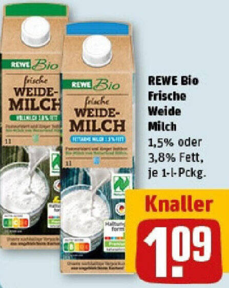 REWE Bio Frische Weide Milch 1 l Angebot bei REWE
