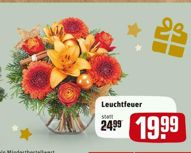 Rewe blumen leuchtfeuer Angebot bei REWE