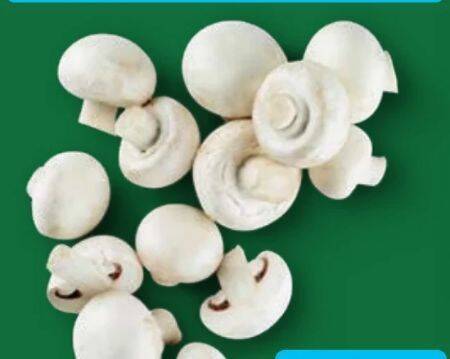 Champignons Angebot bei Aldi Nord