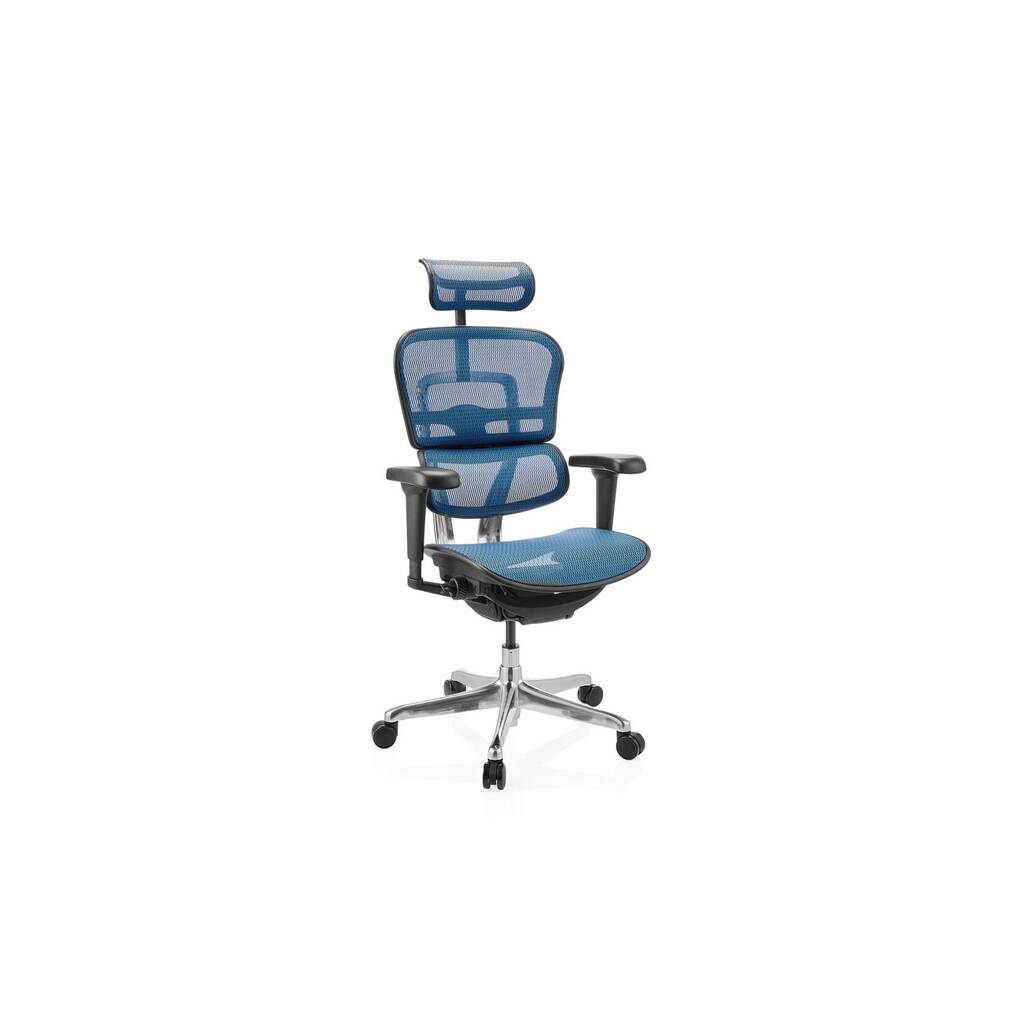 hjh OFFICE Luxus Chefsessel ERGOHUMAN ULTRA GEN2 Netzstoff mit ...