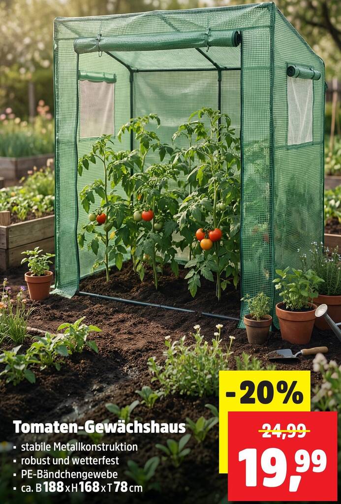 Faszinierend Tomaten Gewachshaus Klein Fotos