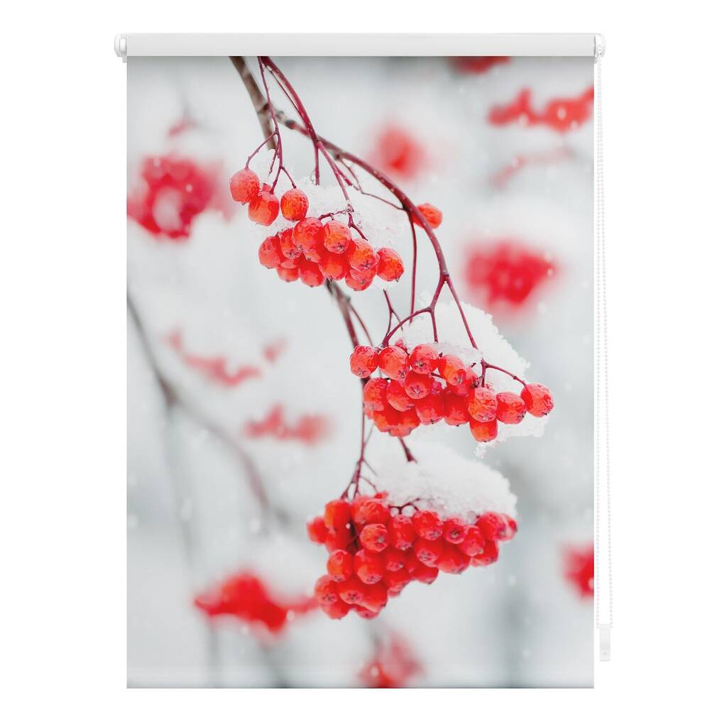 Lichtblick Rollo Klemmfix, ohne Bohren, Verdunkelung, Vogelbeeren - Rot ...