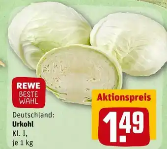 Rewe beste wahl urkohl Angebot bei REWE