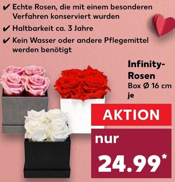 Infinity Rosen Angebot bei Kaufland