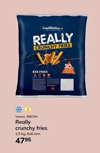 Really crunchy fries 2,5 kg. 6x6 mm tilbud hos Dagrofa Food Service