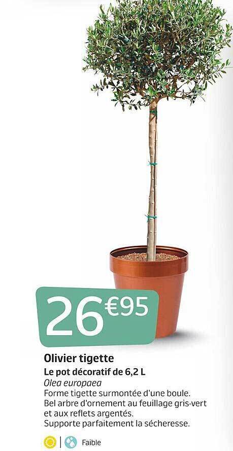 Prix Olivier Jardiland