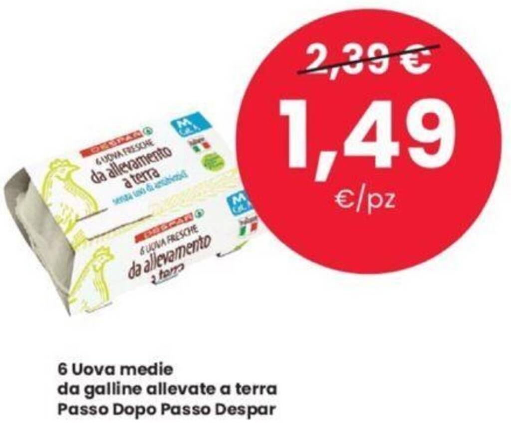 6 Uova medie da galline allevate a terra Passo Dopo Passo Despar ...