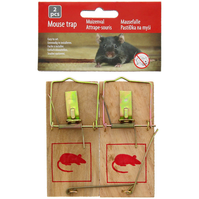 Muizenval aanbieding bij Action