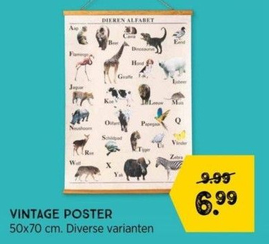 Vintage poster 50x70 cm. diverse varianten aanbieding bij Xenos