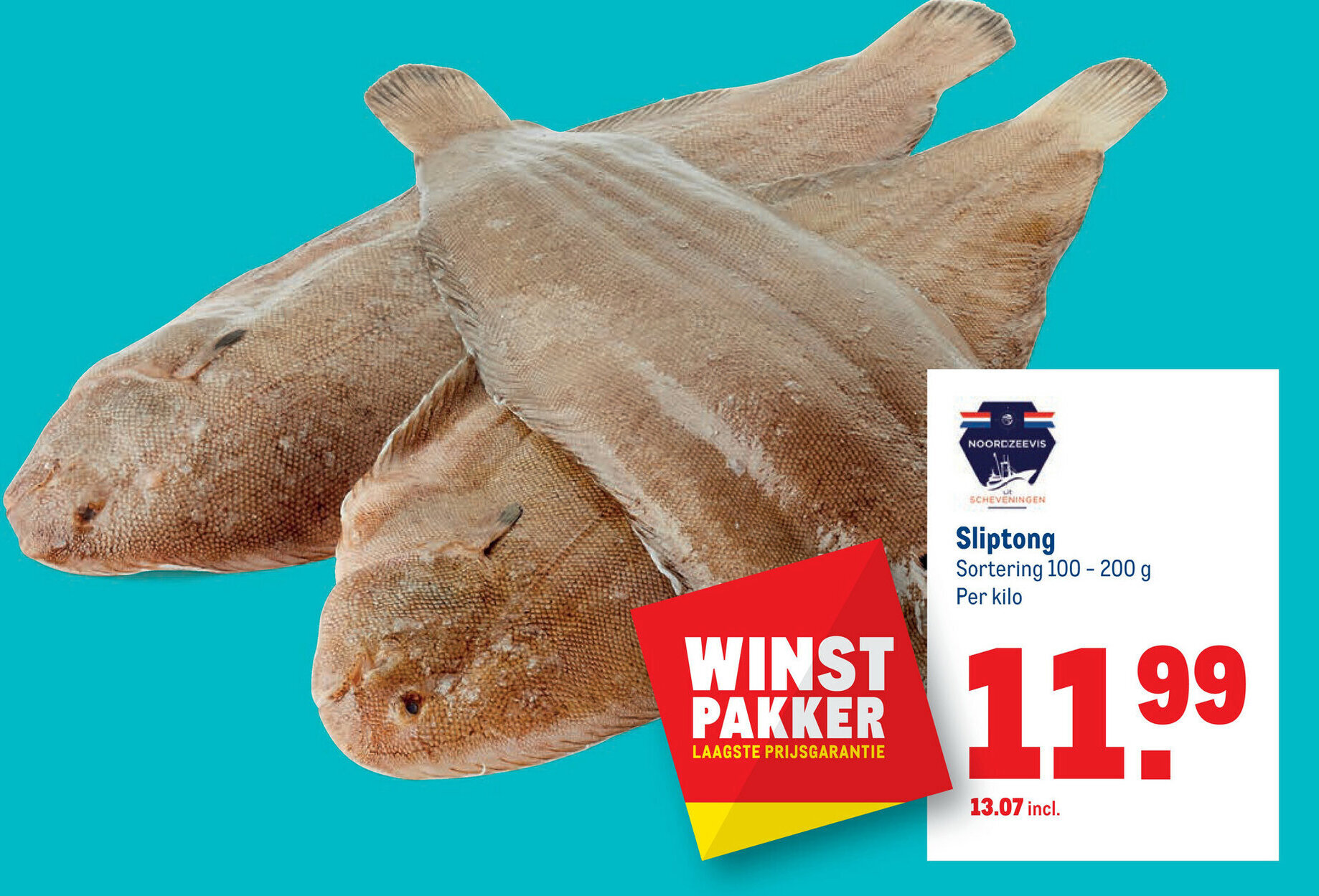 Sliptong 100-200 g aanbieding bij Makro
