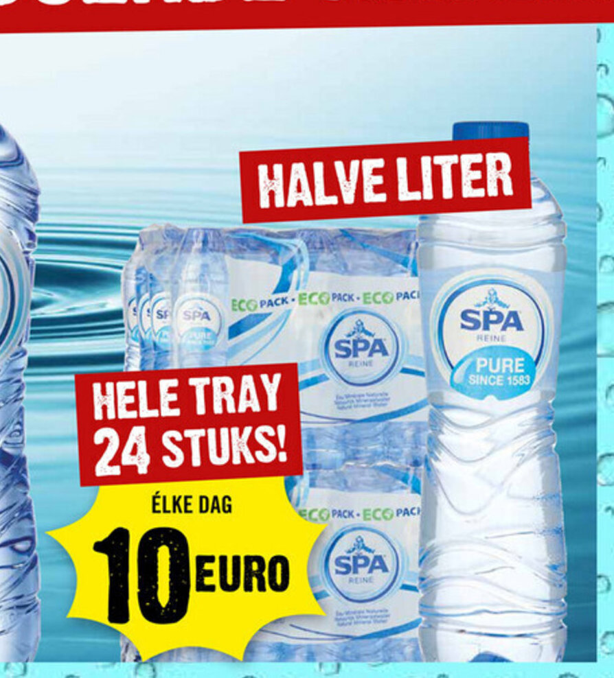 Spa Reine Mineraalwater halve liter aanbieding bij Dirck 3
