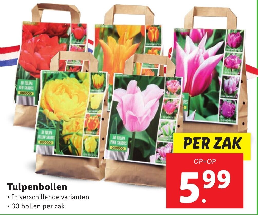 Tulpenbollen 30 bollen per zak aanbieding bij Lidl