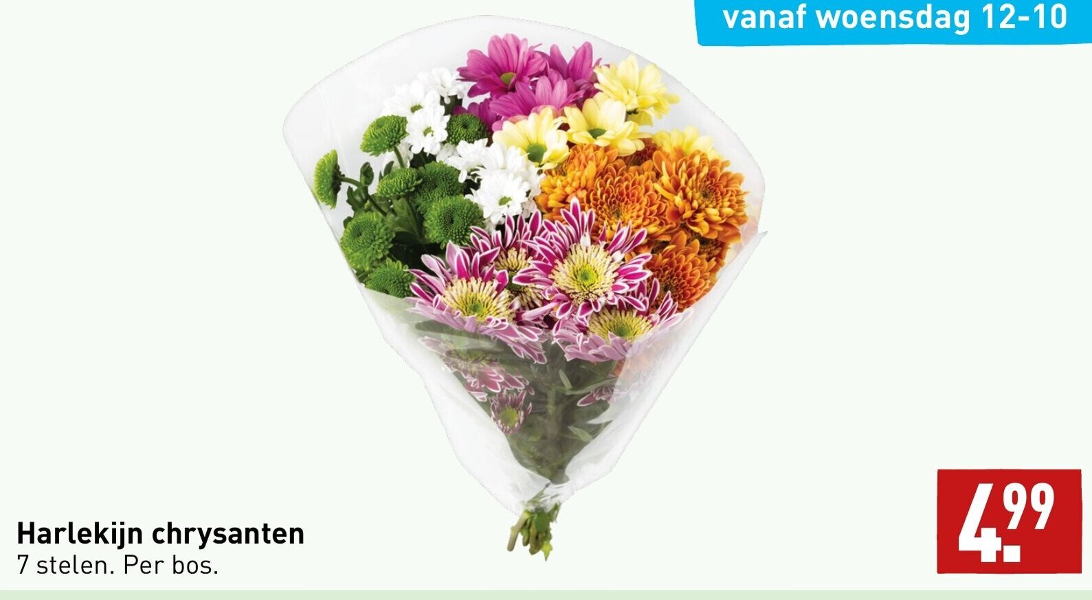Harlekijn chrysanten aanbieding bij ALDI