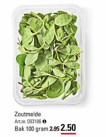 Zoutmelde 100 gram aanbieding bij Sligro
