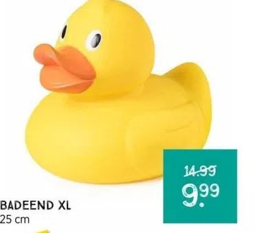 Badeend xl aanbieding bij Xenos