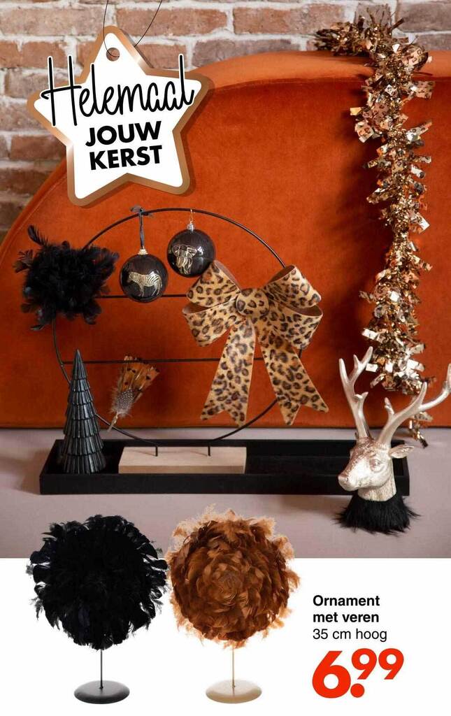 Ornament met veren aanbieding bij Wibra