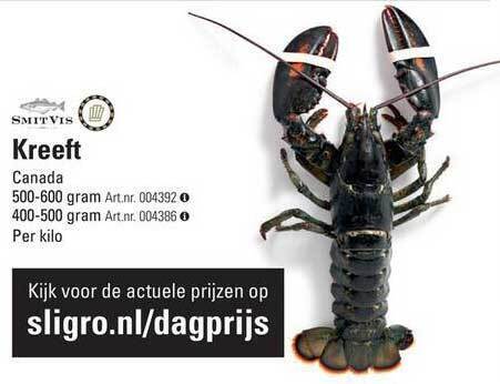 Kreeft aanbieding bij Sligro