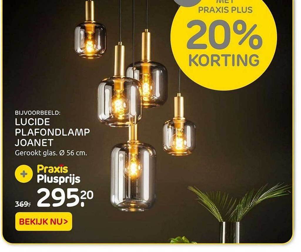Lucide plafondlamp joanet aanbieding bij Praxis