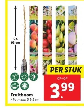 Fruitboom aanbieding bij Lidl