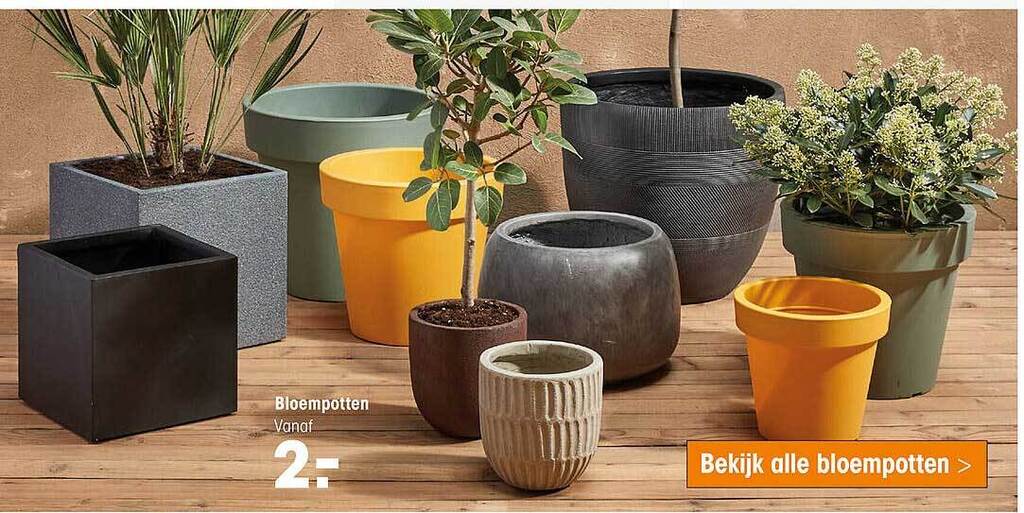 Bloempotten aanbieding bij Kwantum