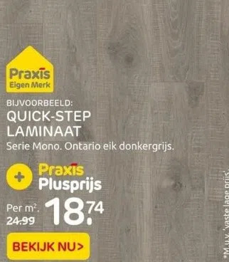 Quick-step laminaat aanbieding bij Praxis