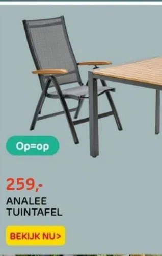 Analee tuintafel aanbieding bij Praxis