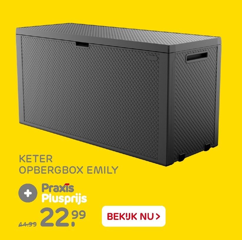 Keter Opbergbox Emily aanbieding bij Praxis