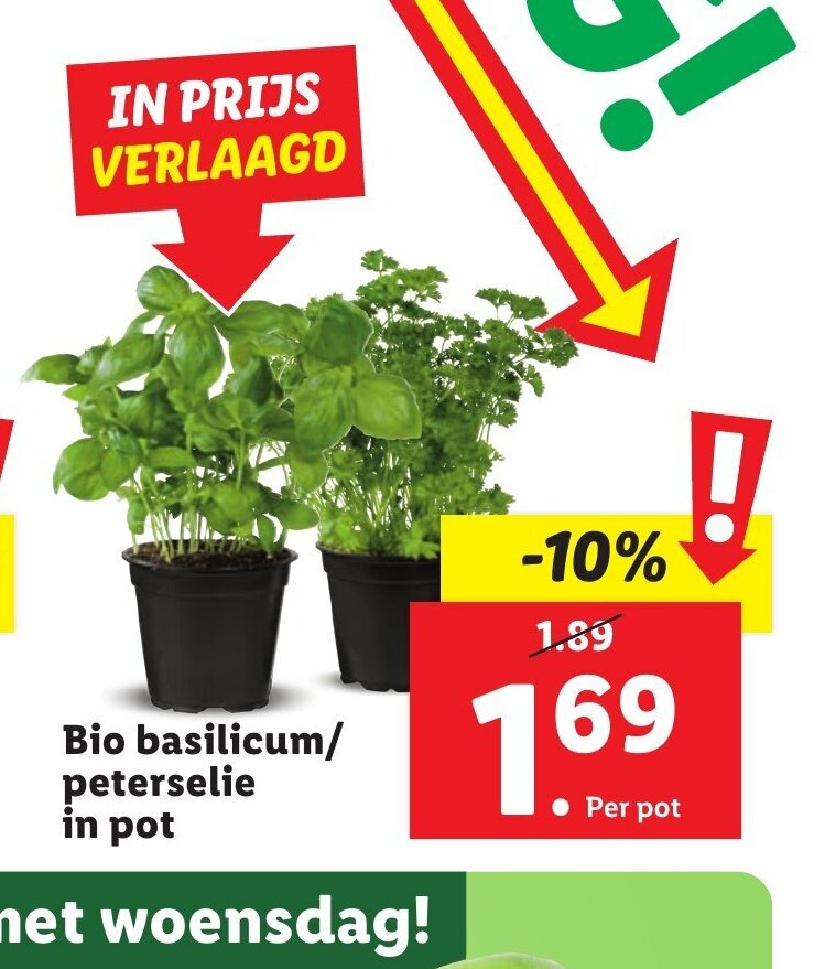 Bio basilicum/ peterselie in pot aanbieding bij Lidl