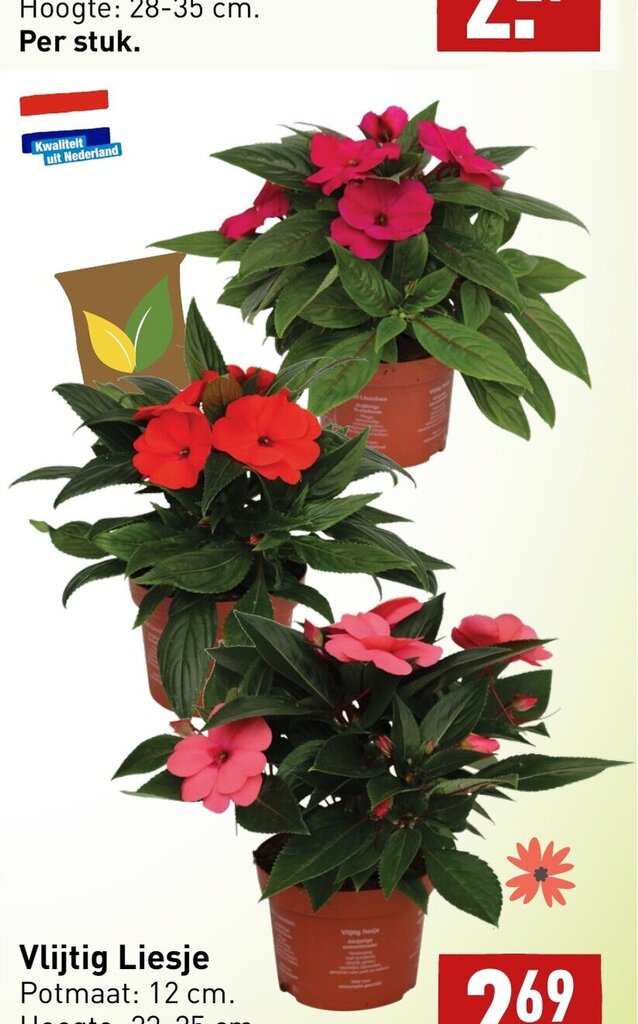 Vlijtig Liesje aanbieding bij ALDI